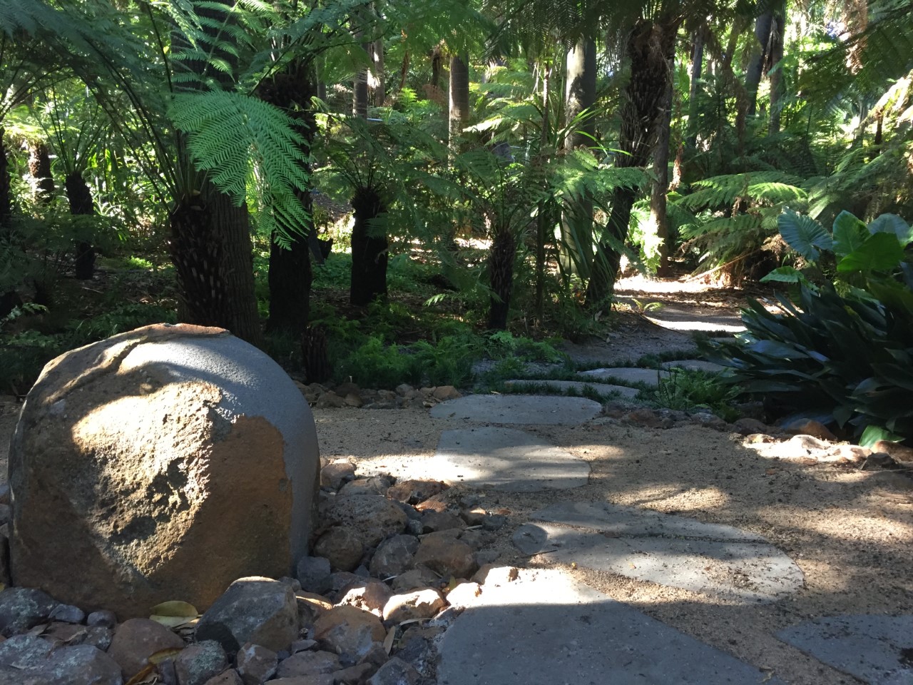 Fern Gully | Royal Botanic Gardens Victoria